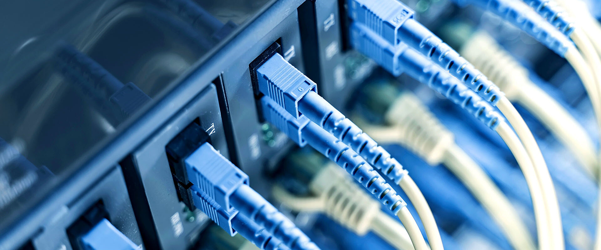 Diverse Service - Enet: Versatile and Reliable Networking Solutions for ...